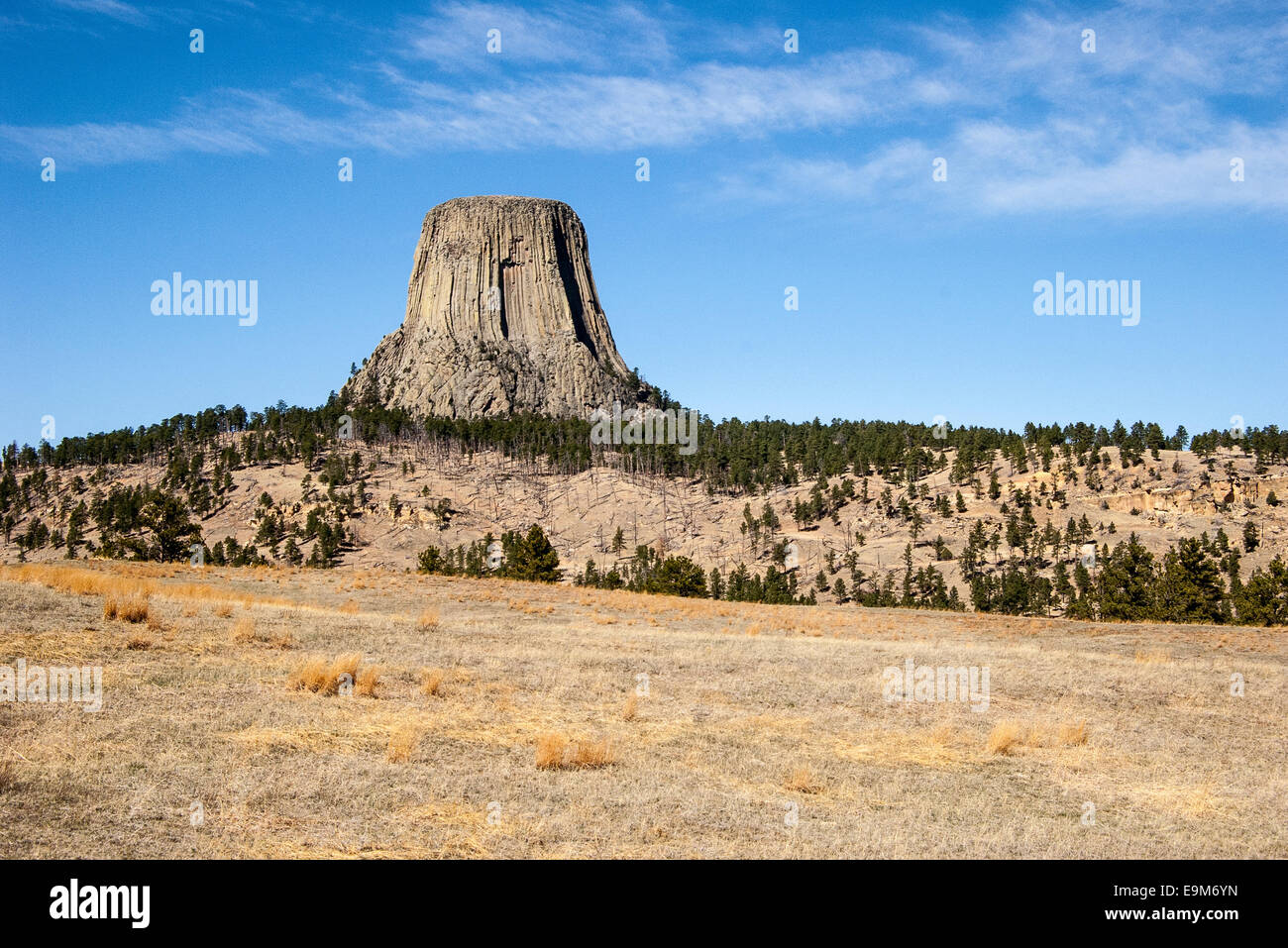 Devils tower and pine trees hi-res stock photography and images - Alamy