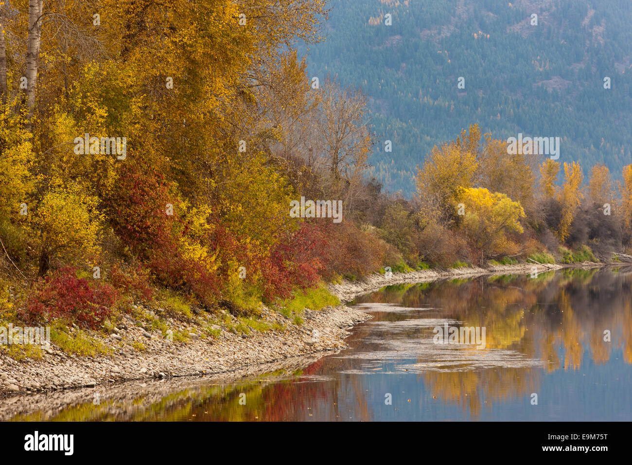 Colorful river shoreline Stock Photo - Alamy