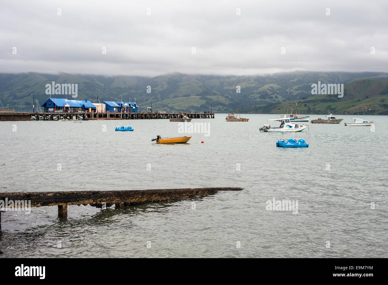Akaroa harbour, New Zealand Stock Photo - Alamy