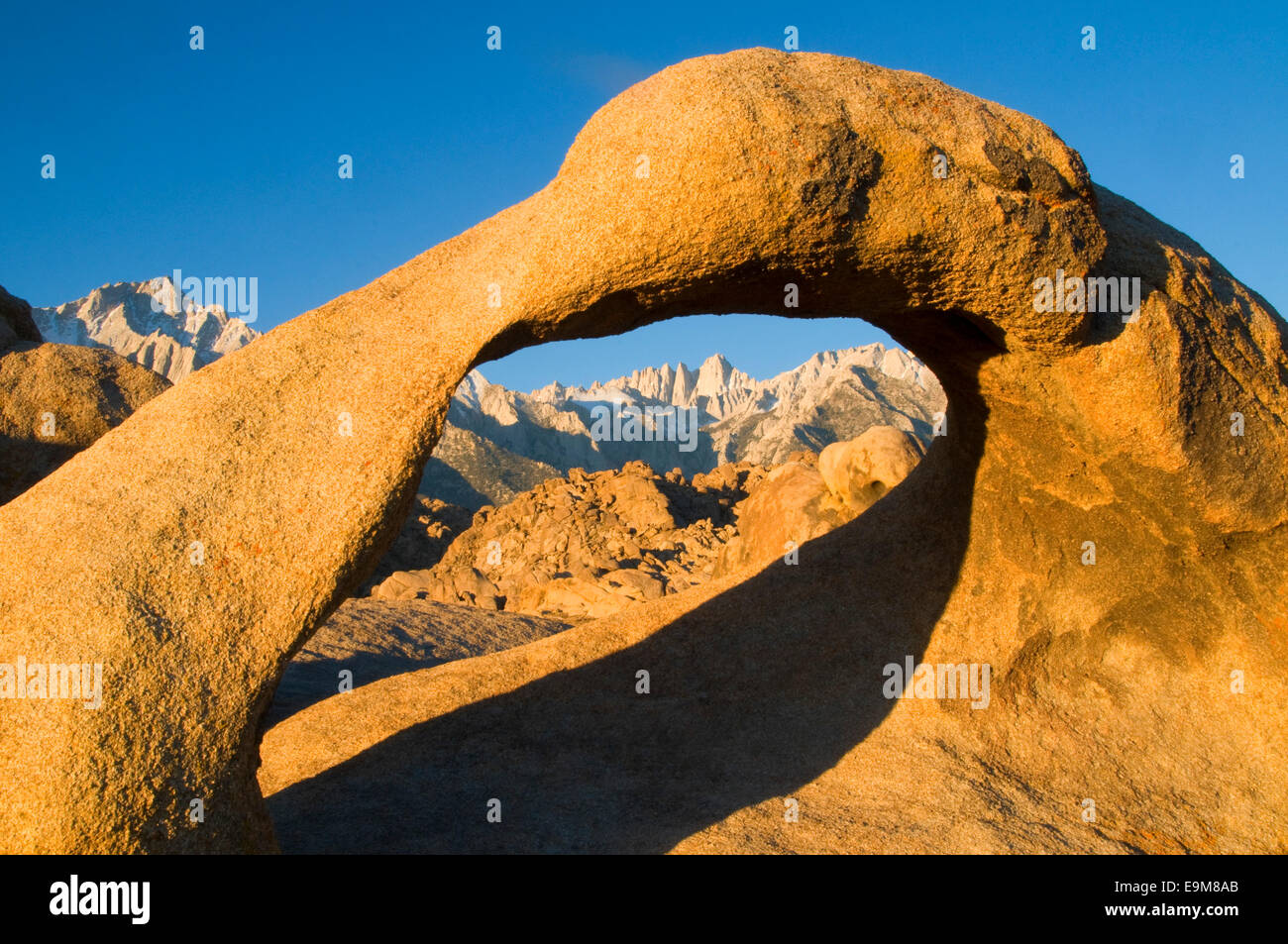 Whitney alabama hi-res stock photography and images - Alamy