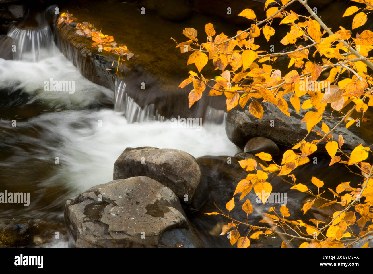 Susan river california hi-res stock photography and images - Alamy