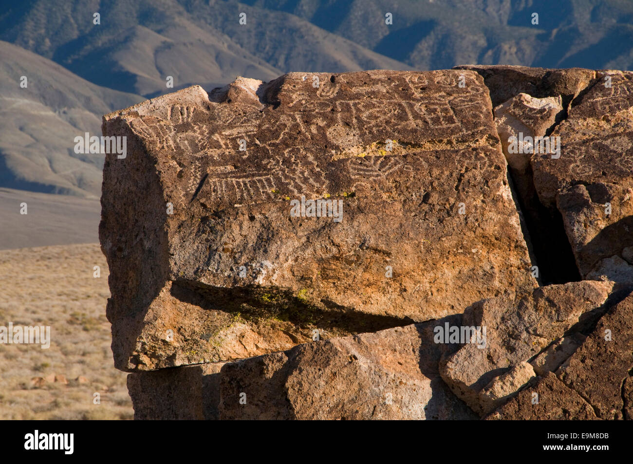 Fish Slough Petroglyphs Fish Slough Stock Photos & Fish Slough ...