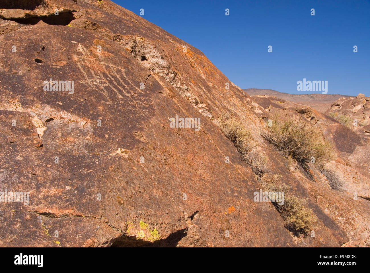 Fish Slough Petroglyphs Fish Slough Stock Photos & Fish Slough ...