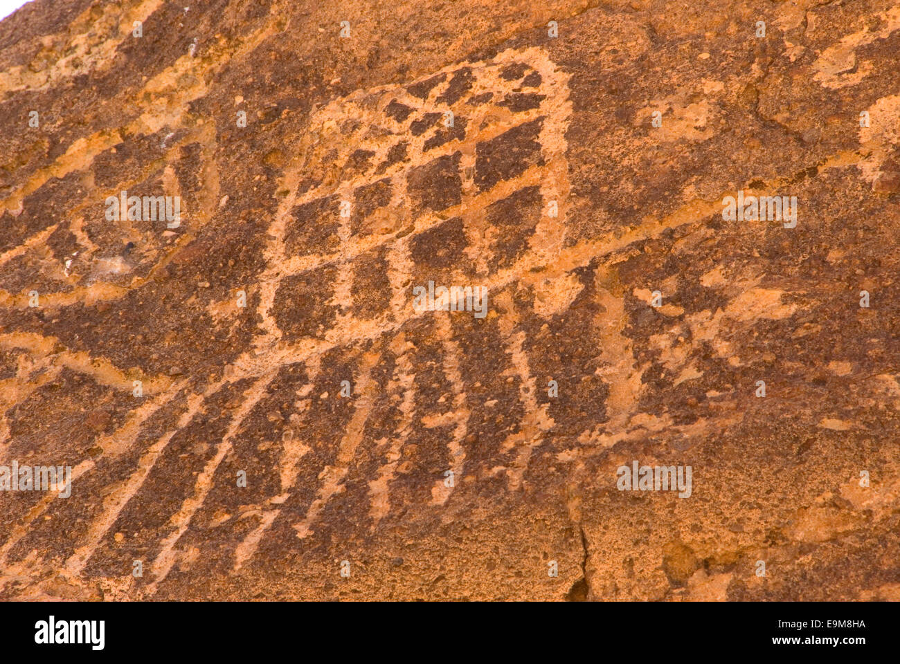 Fish Slough Petroglyphs Fish Slough Stock Photos & Fish Slough ...