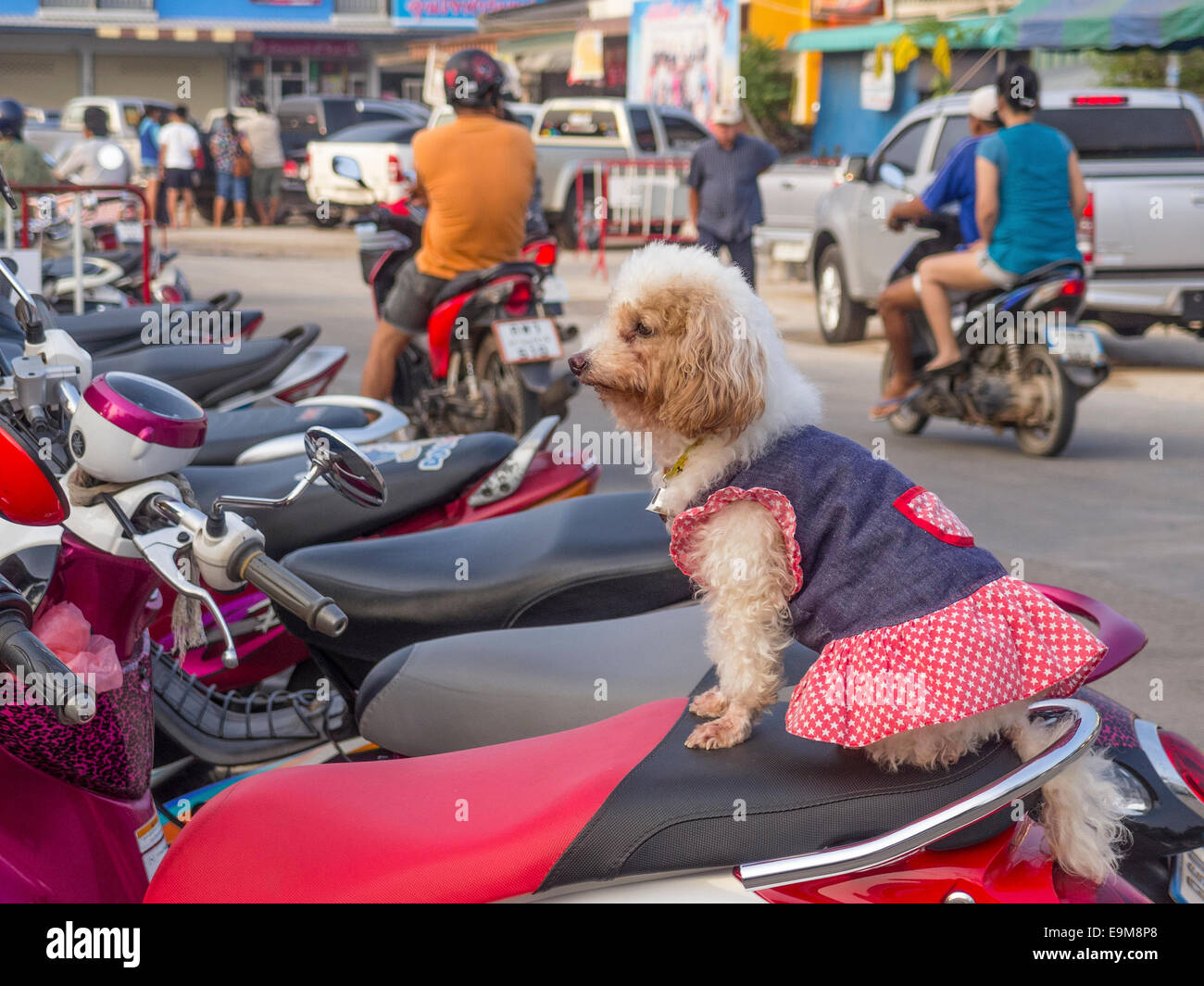 Small moped hi-res stock photography and images - Alamy