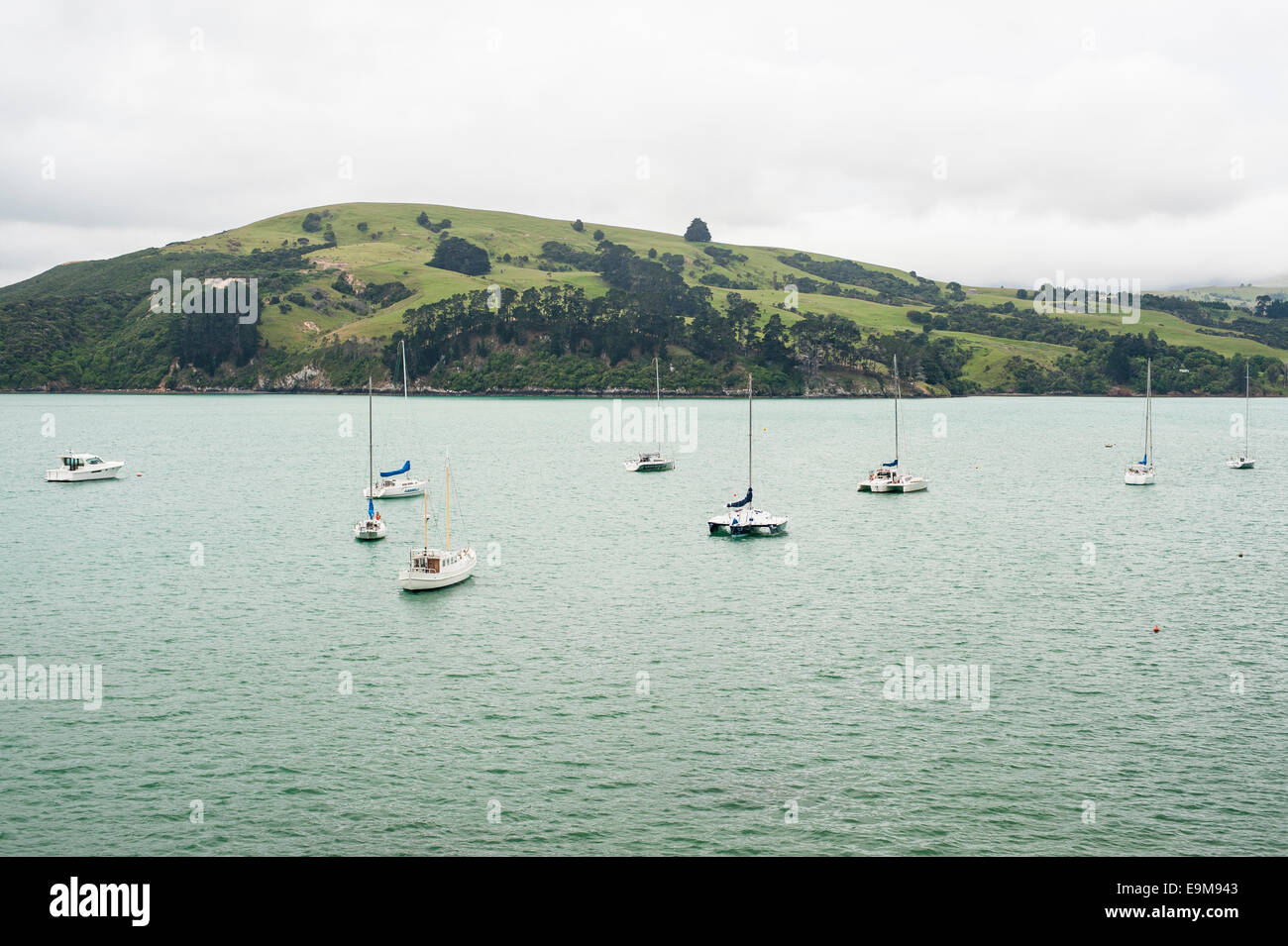 Akaroa harbour, New Zealand Stock Photo - Alamy