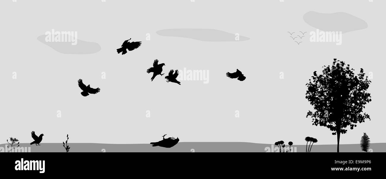 Birds Fly in Nature. Vector Illustration. EPS10 Stock Photo - Alamy