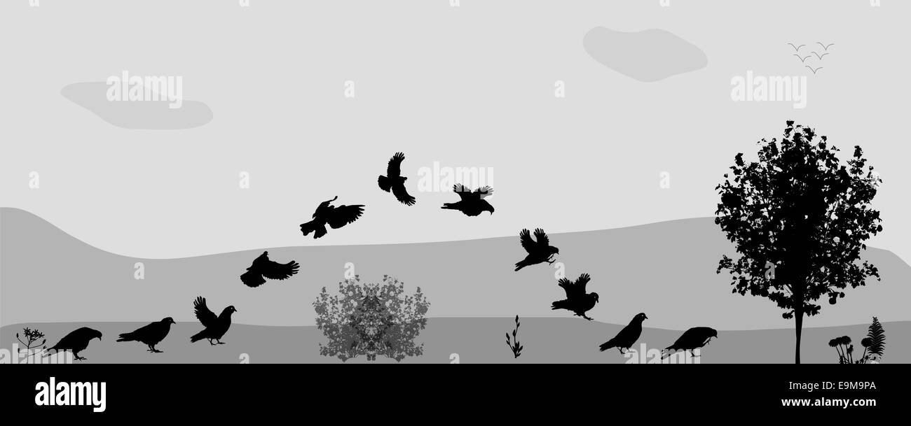 Horizontal illustrations birds hi-res stock photography and images - Alamy