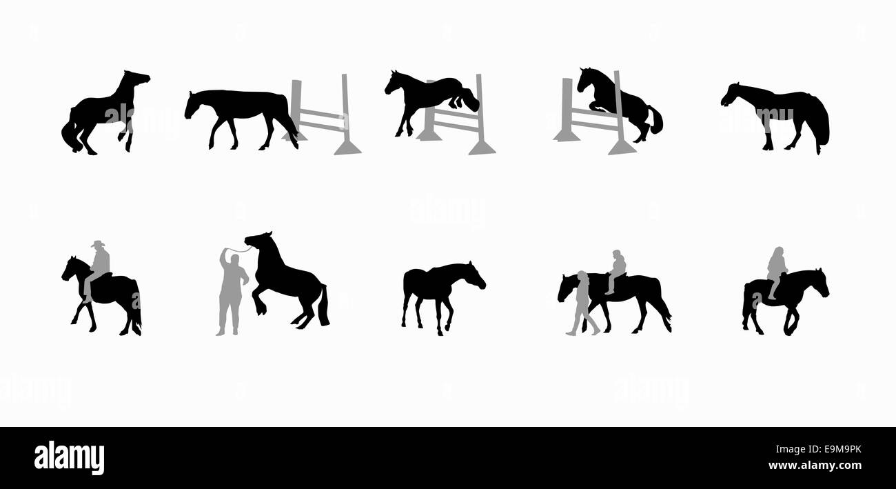 White horse rearing rider hi-res stock photography and images - Alamy