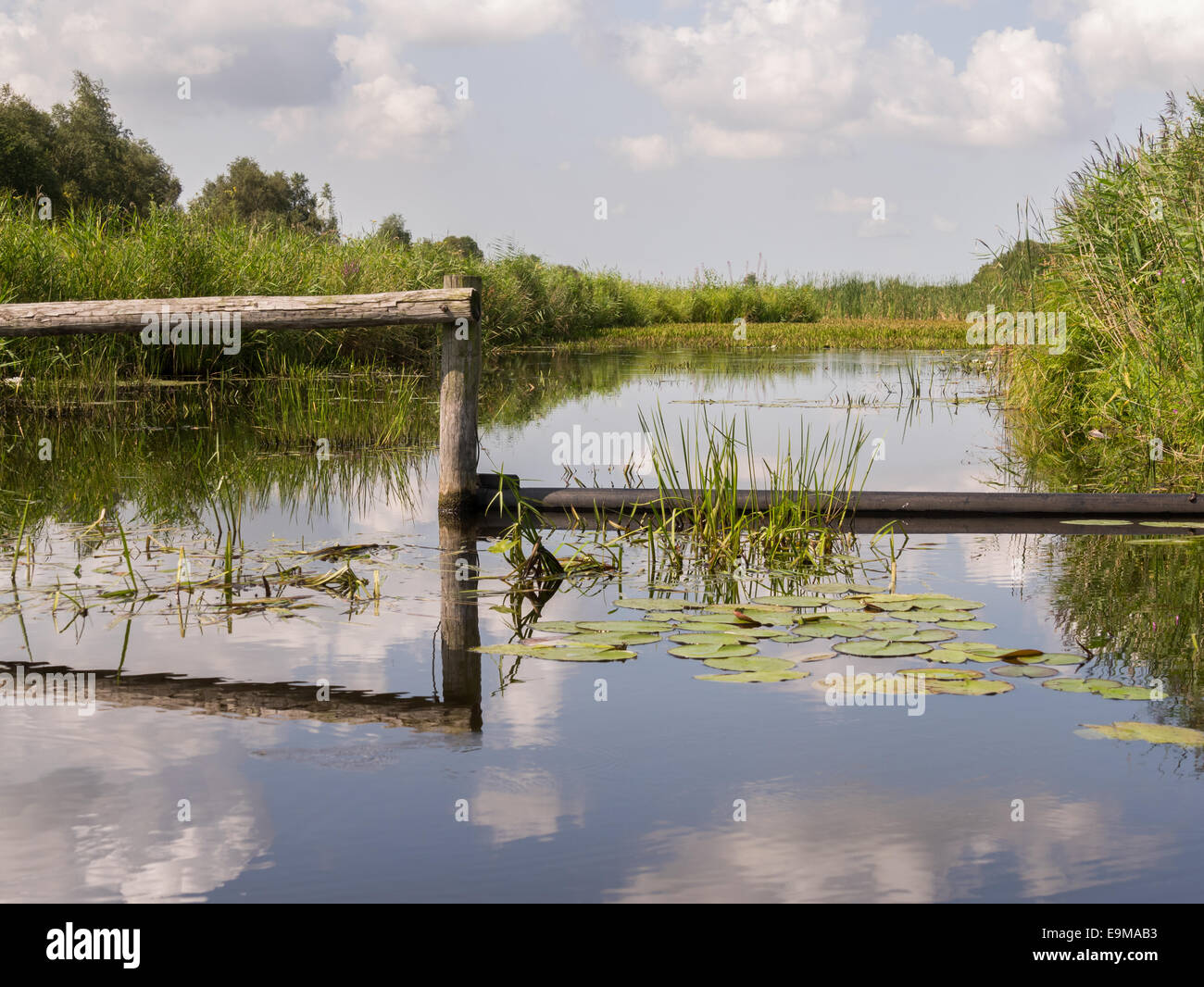 Dutch nature reserve hi-res stock photography and images - Alamy