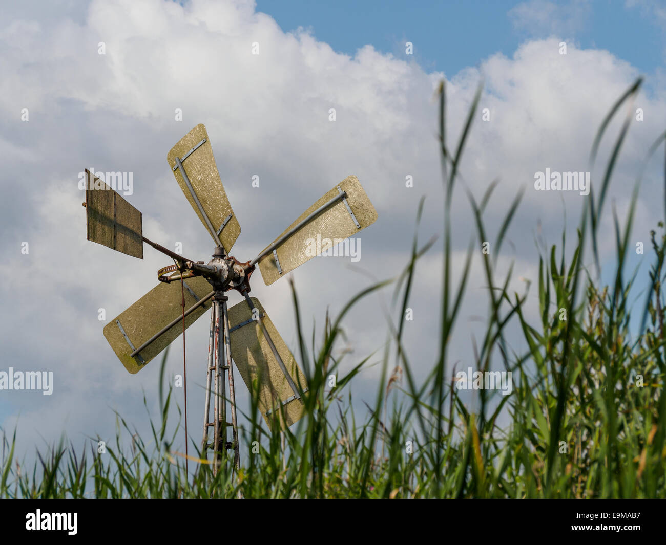 Old metal windmill in Dutch nature reserve Weerribben Stock Photo - Alamy