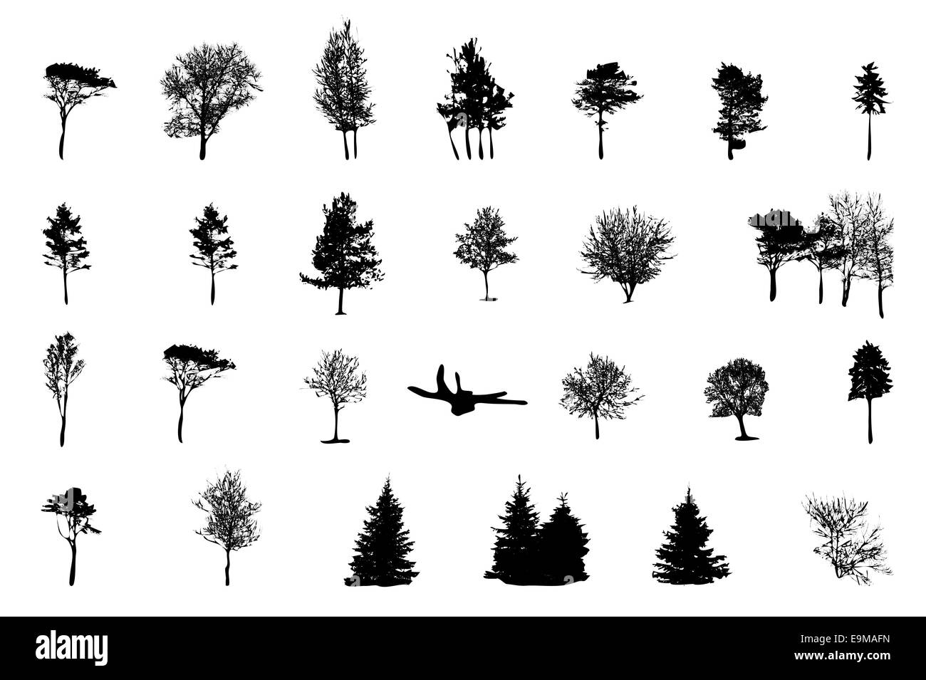 Set of Tree Silhouette Isolated on White Backgorund. Vecrtor ...