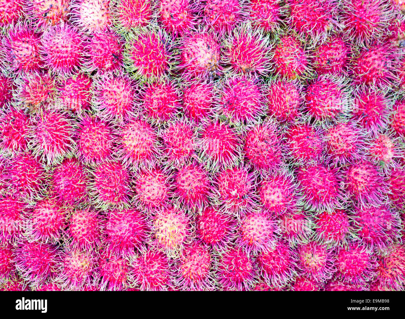 Rambutan background hi-res stock photography and images - Alamy