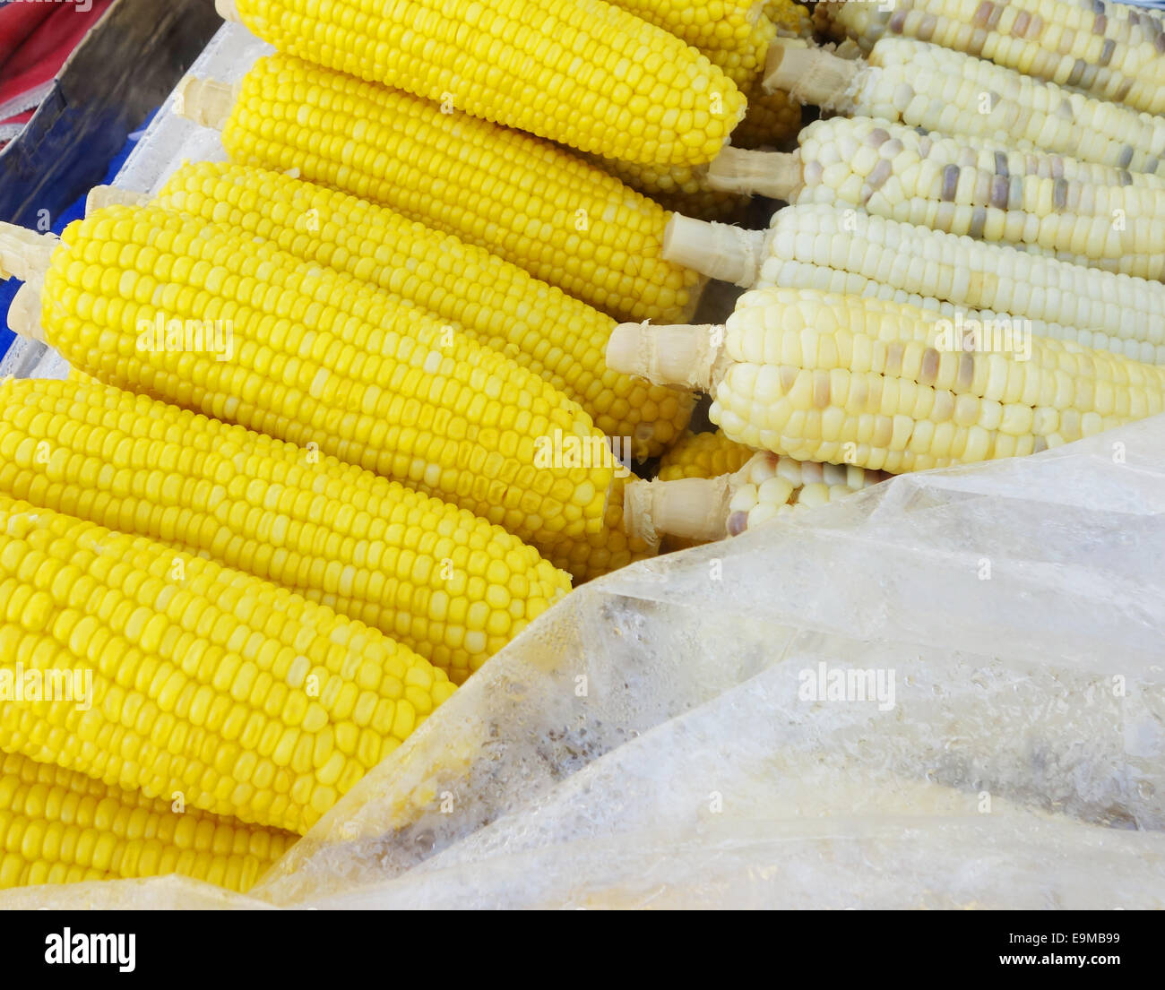 Golden corns hi-res stock photography and images - Alamy