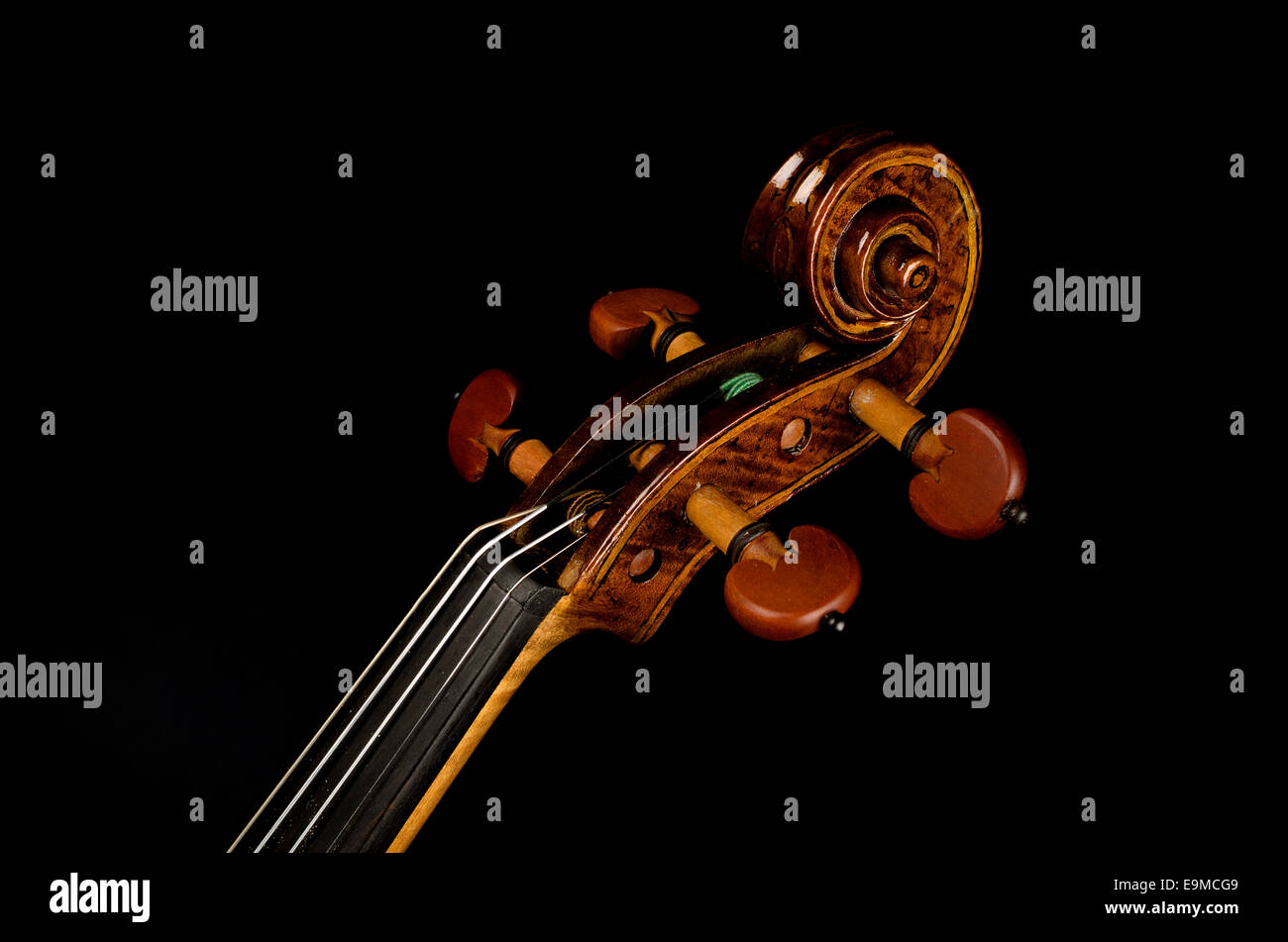 Studio shot of a violin neck isolated on black Stock Photo - Alamy