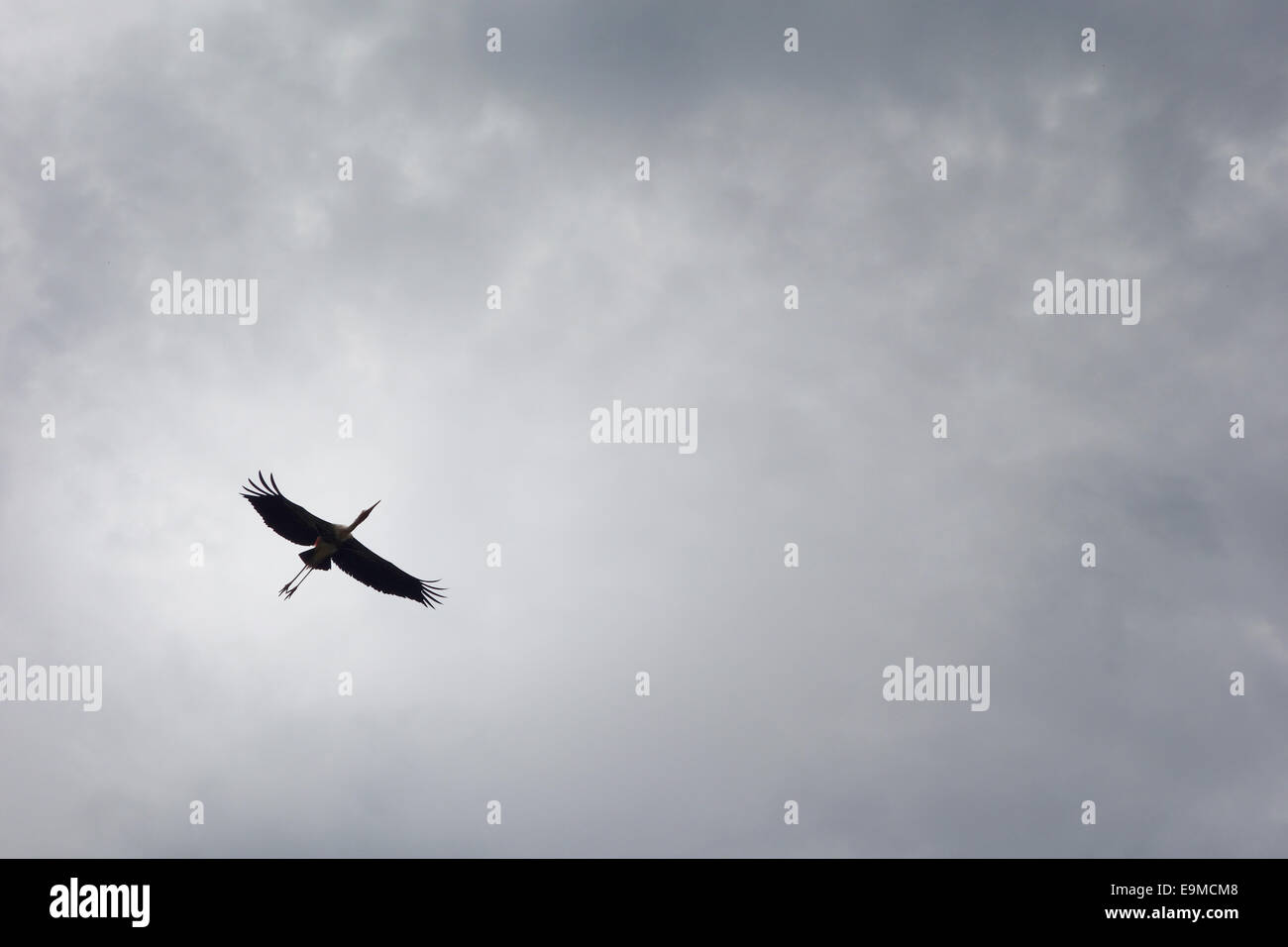 Dramatic skylight hi-res stock photography and images - Alamy