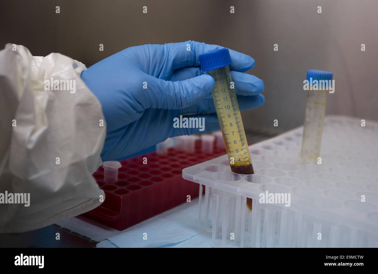 Buenos Aires, Argentina. 29th Oct, 2014. A medical employee manipulates ...