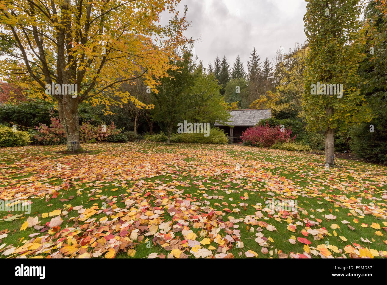 A graden hi-res stock photography and images - Alamy