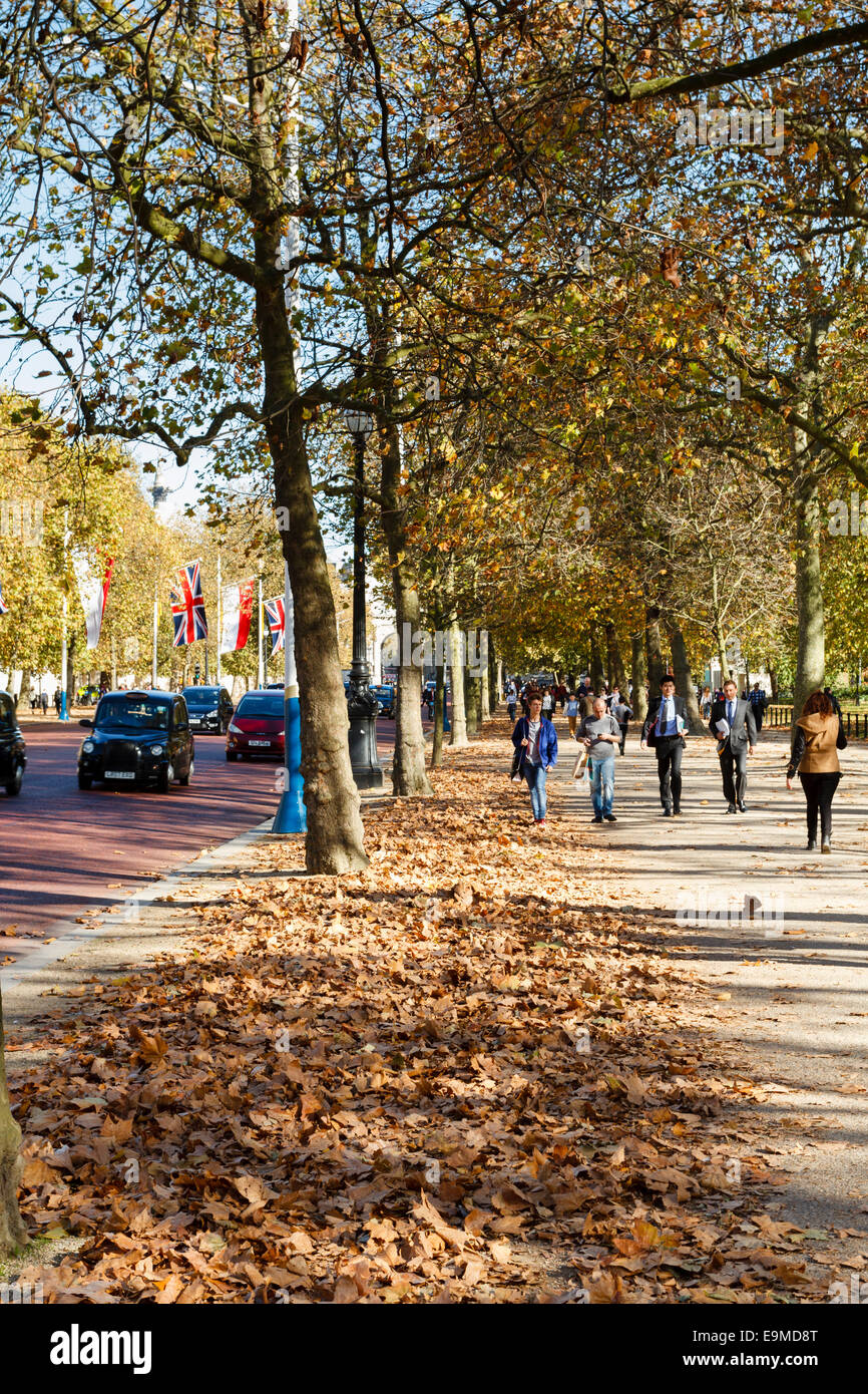 The Mall and tree lined path of St James Park, Westminster, London ...