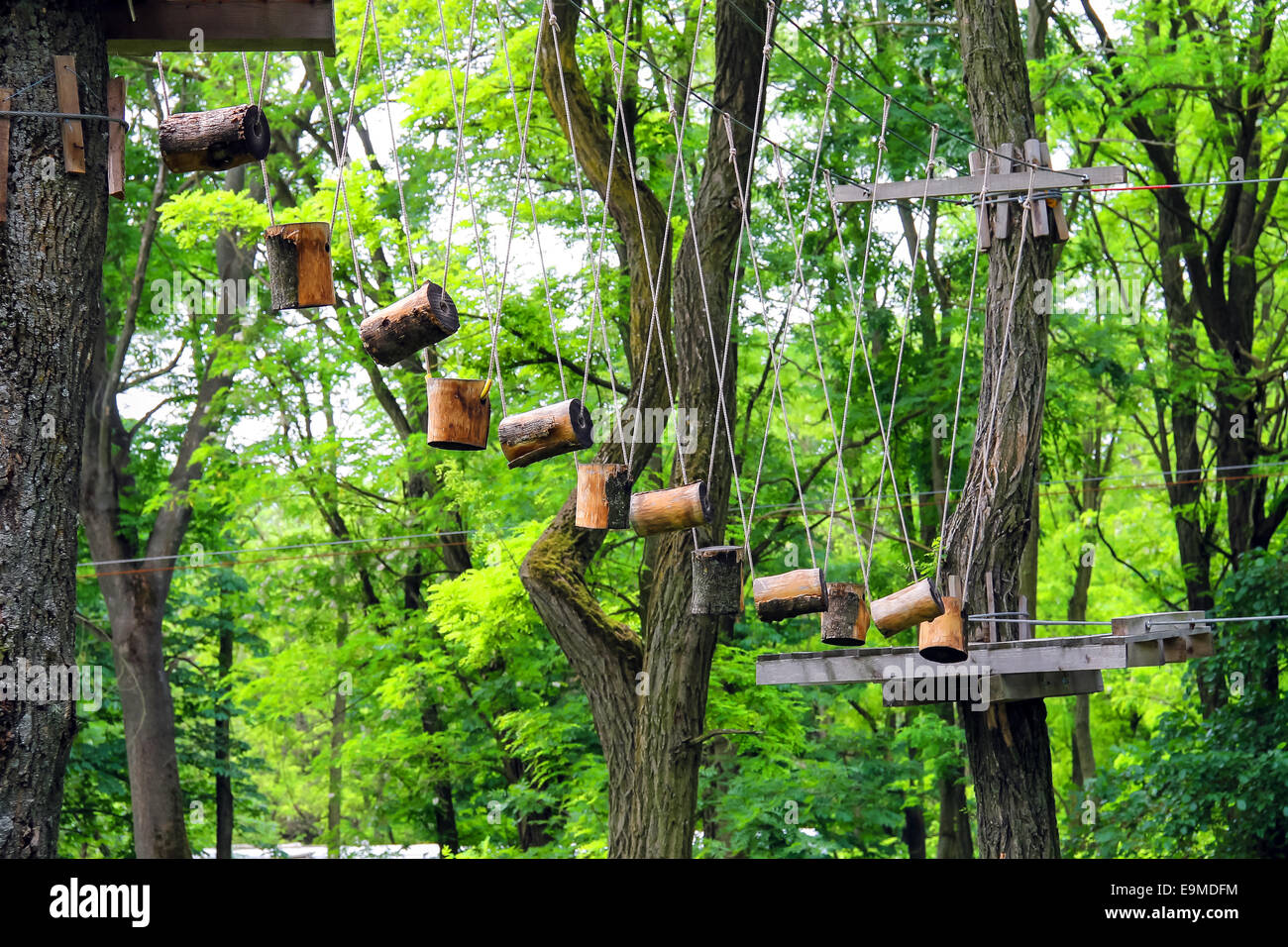 Rope swinging bridge for training camp in the forest Stock Photo - Alamy