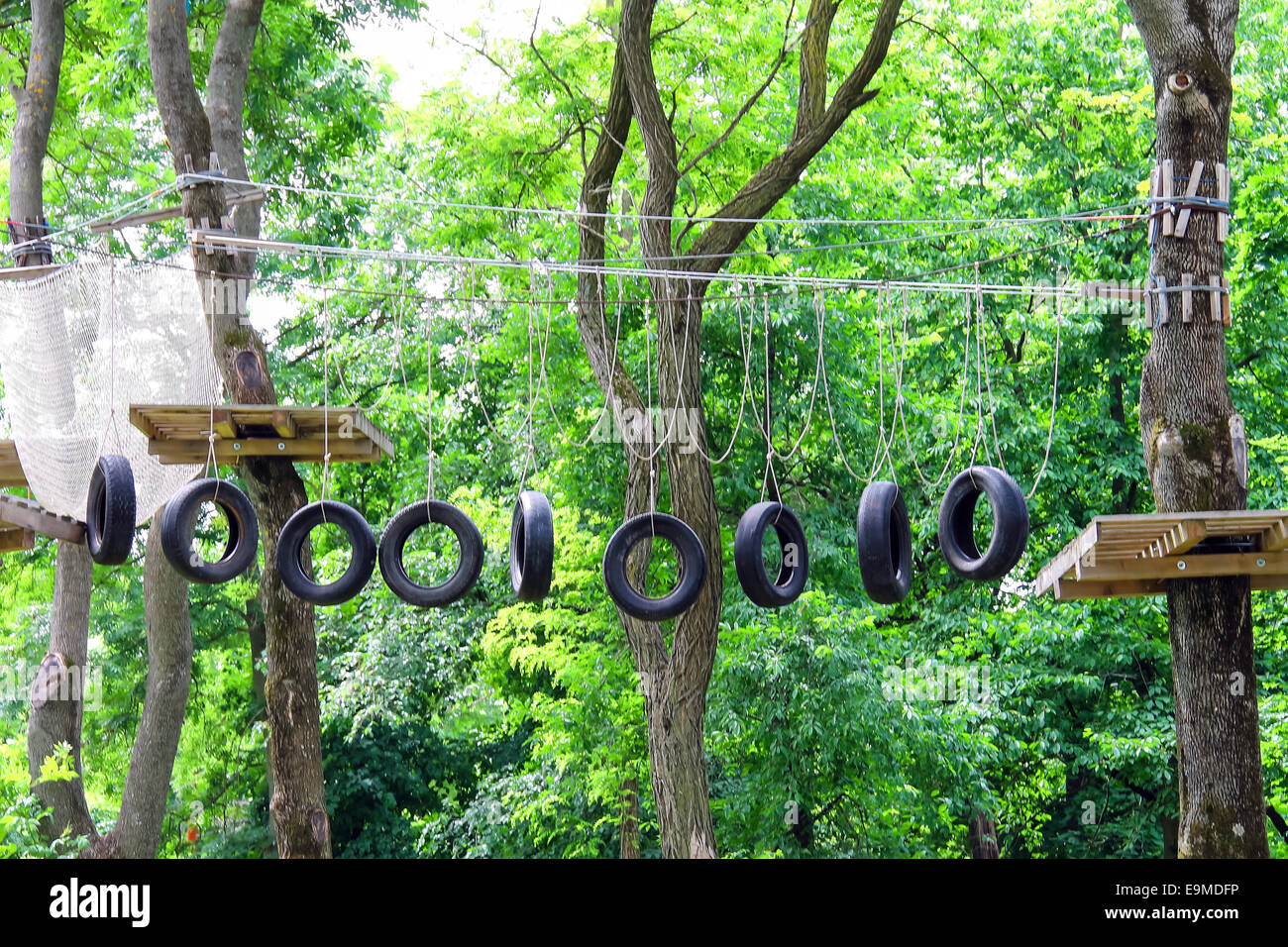 Rope swinging bridge for training camp in the forest Stock Photo - Alamy