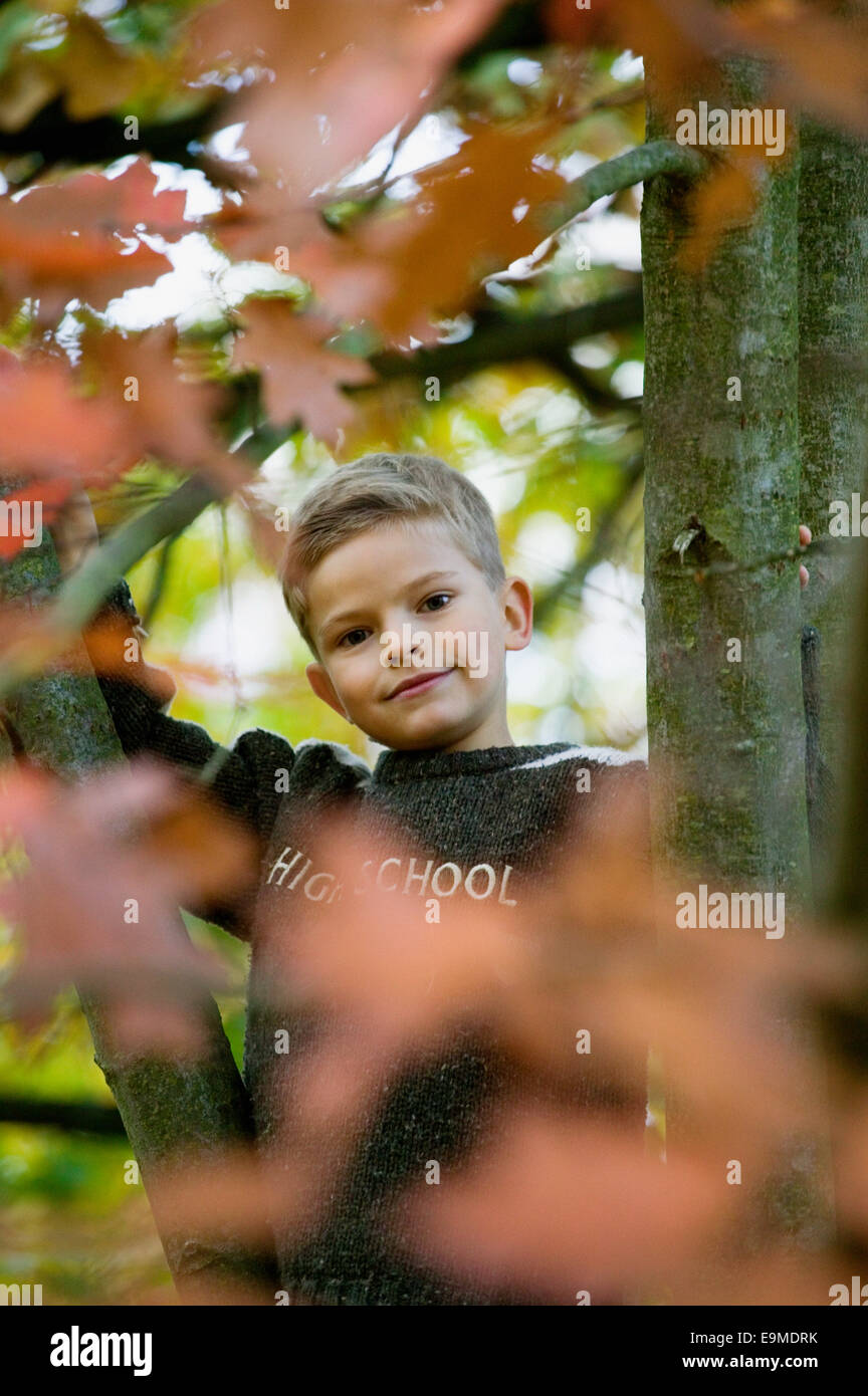 Young boy between tree branches Stock Photo - Alamy