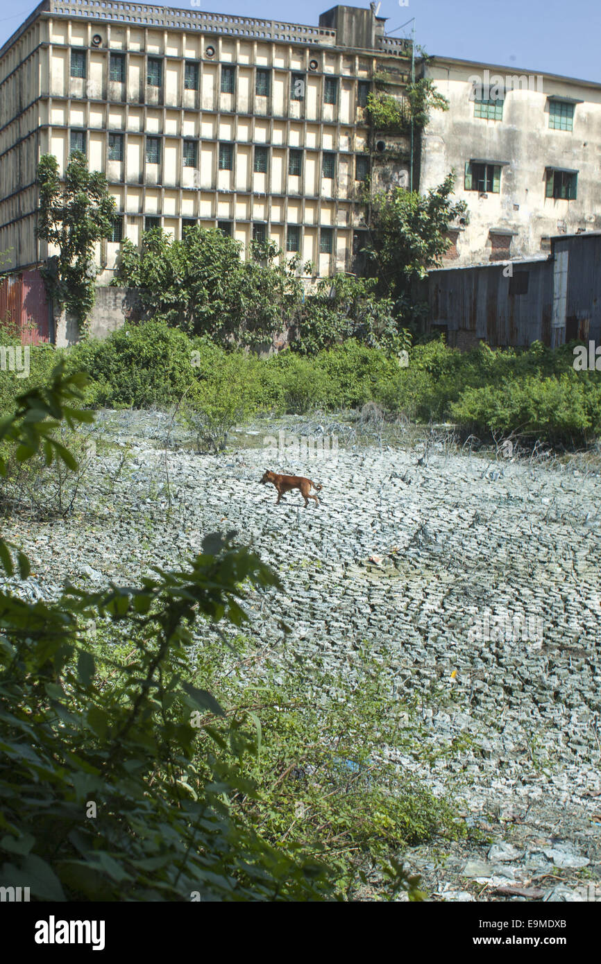Dhaka, Bangladesh. 30th Oct, 2014. By throwing waste chemicals and oil ...