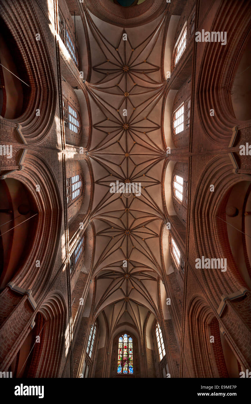 Gothic ceiling vault of the Nikolai Church, built 1407-1440 in the ...