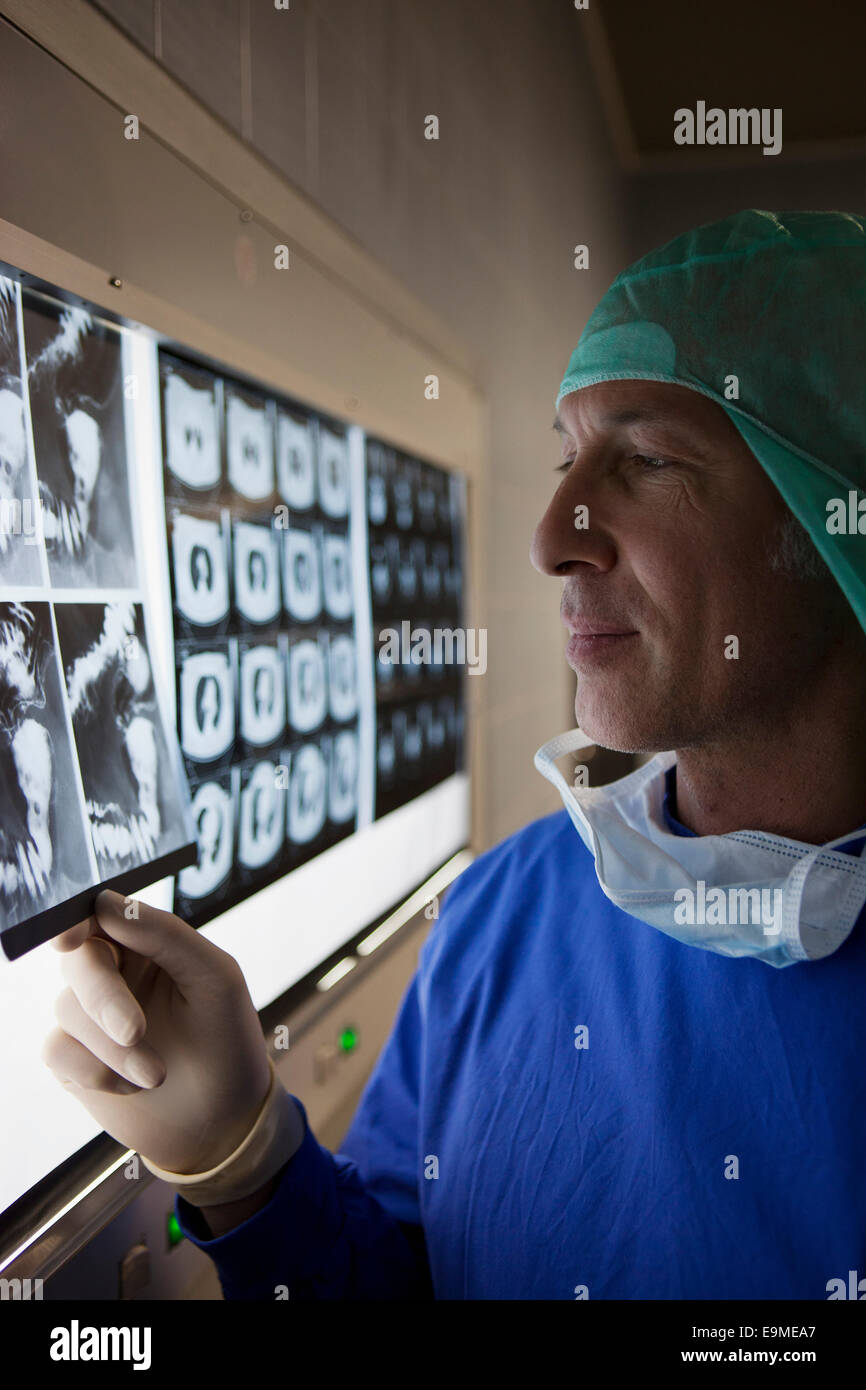 X rays on hospital lightbox hi-res stock photography and images - Alamy