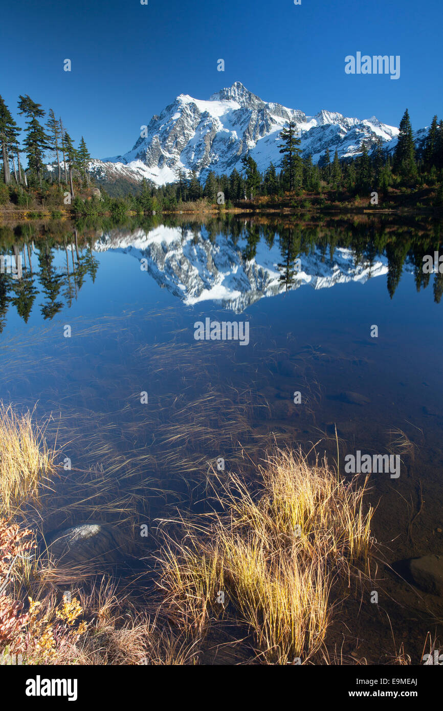 Picture Lake and Mount Shuksan in the Northern Cascades, Rockport ...