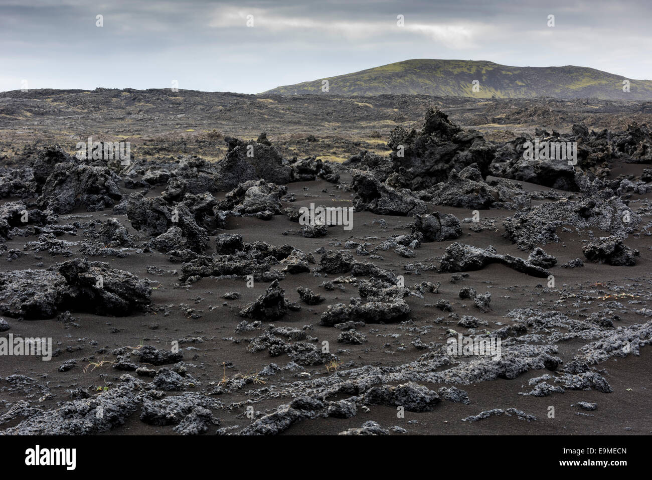 Black sand, lava, Reykjanesskagi, Southern Peninsula or Reykjanes ...