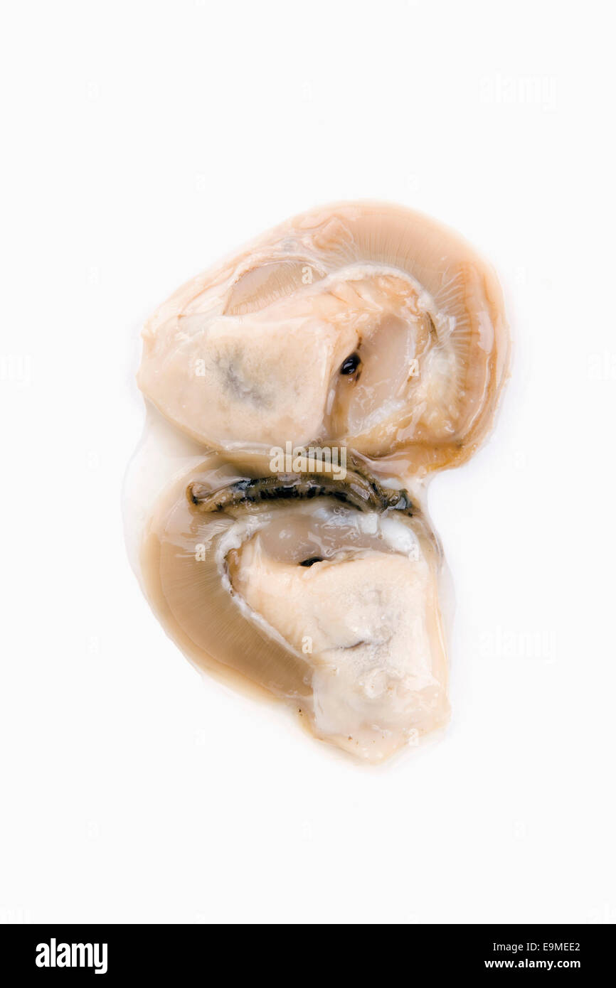Kidney goat Cut Out Stock Images & Pictures - Alamy