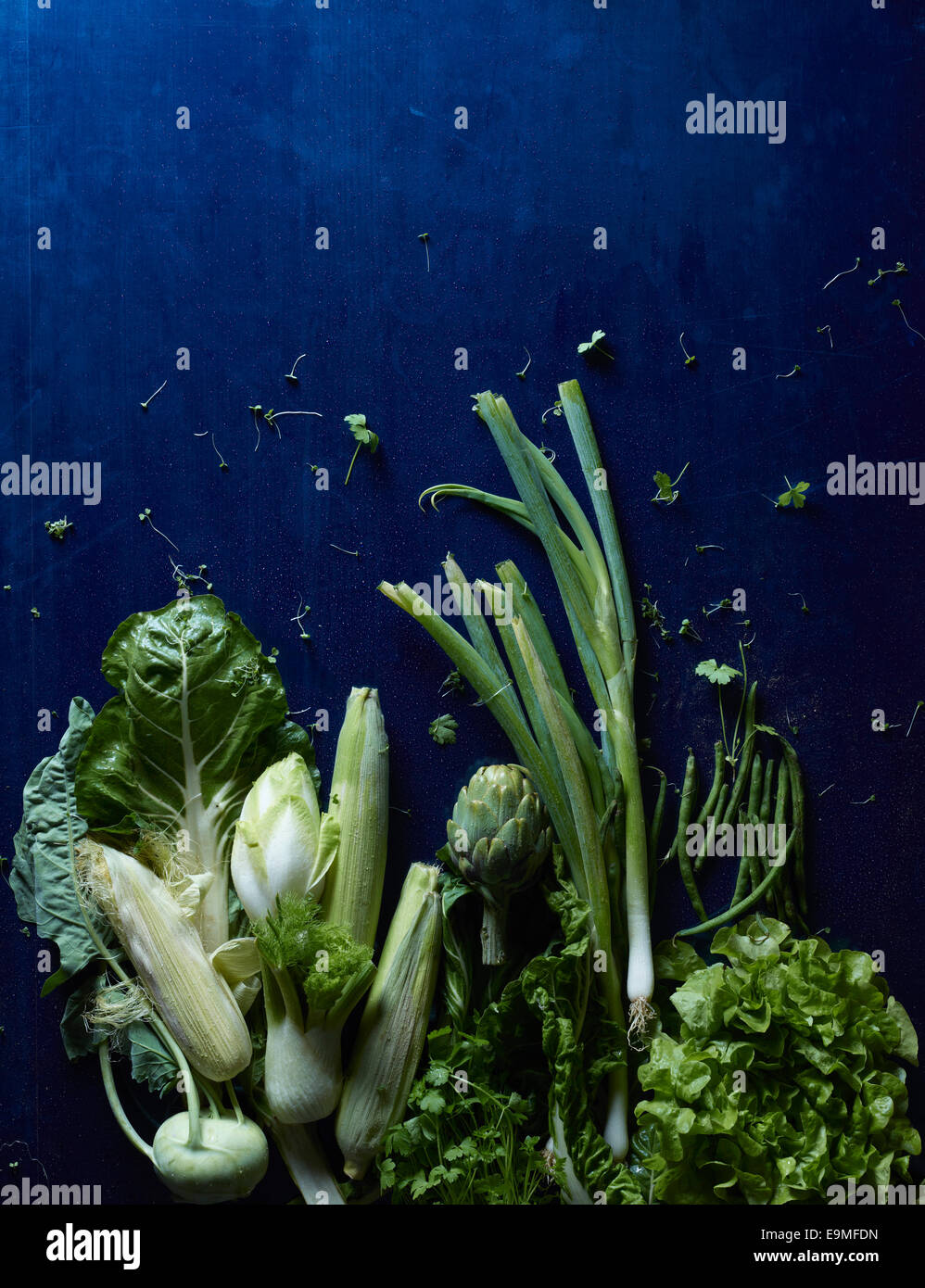 On the still life image of vegetables hi-res stock photography and ...