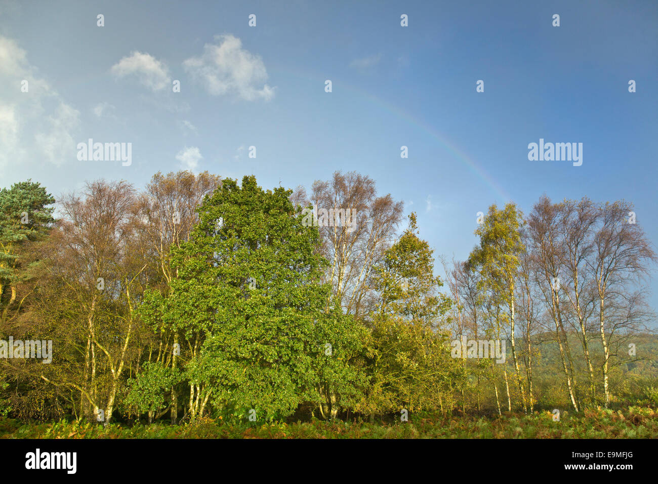 Rainbow over castle hi-res stock photography and images - Alamy