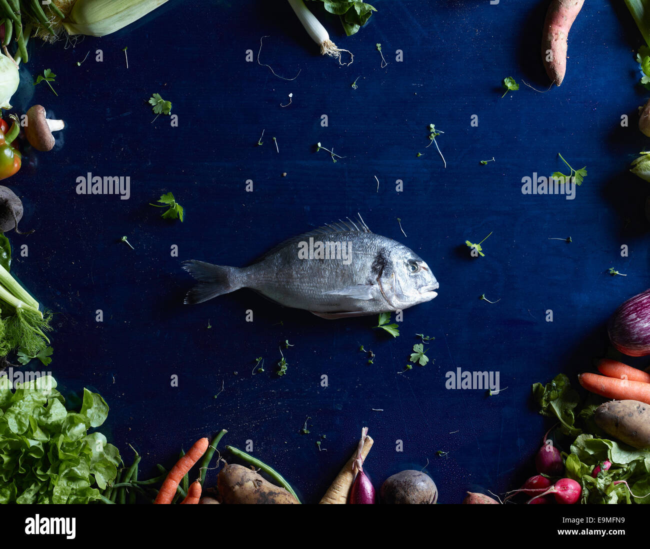 Dead vegetables hi-res stock photography and images - Alamy
