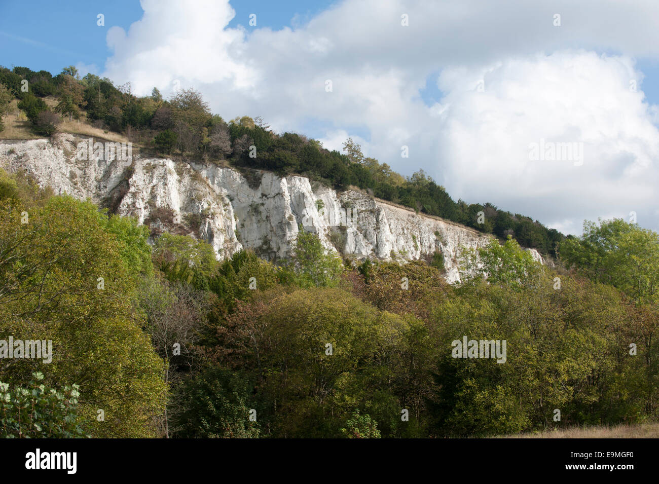 Brockham surrey hi-res stock photography and images - Alamy