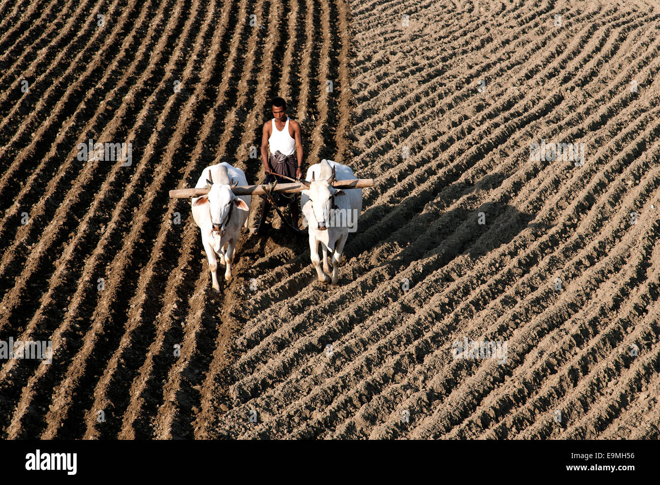 Man ploughing field hi-res stock photography and images - Alamy