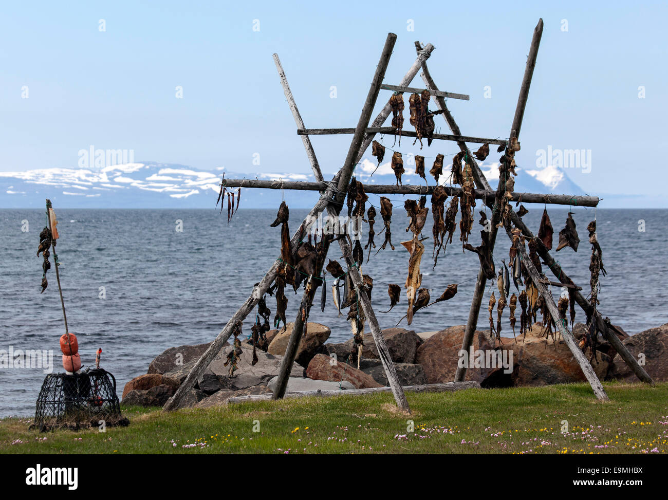 Iceland Dried Fish High Resolution Stock Photography and Images - Alamy