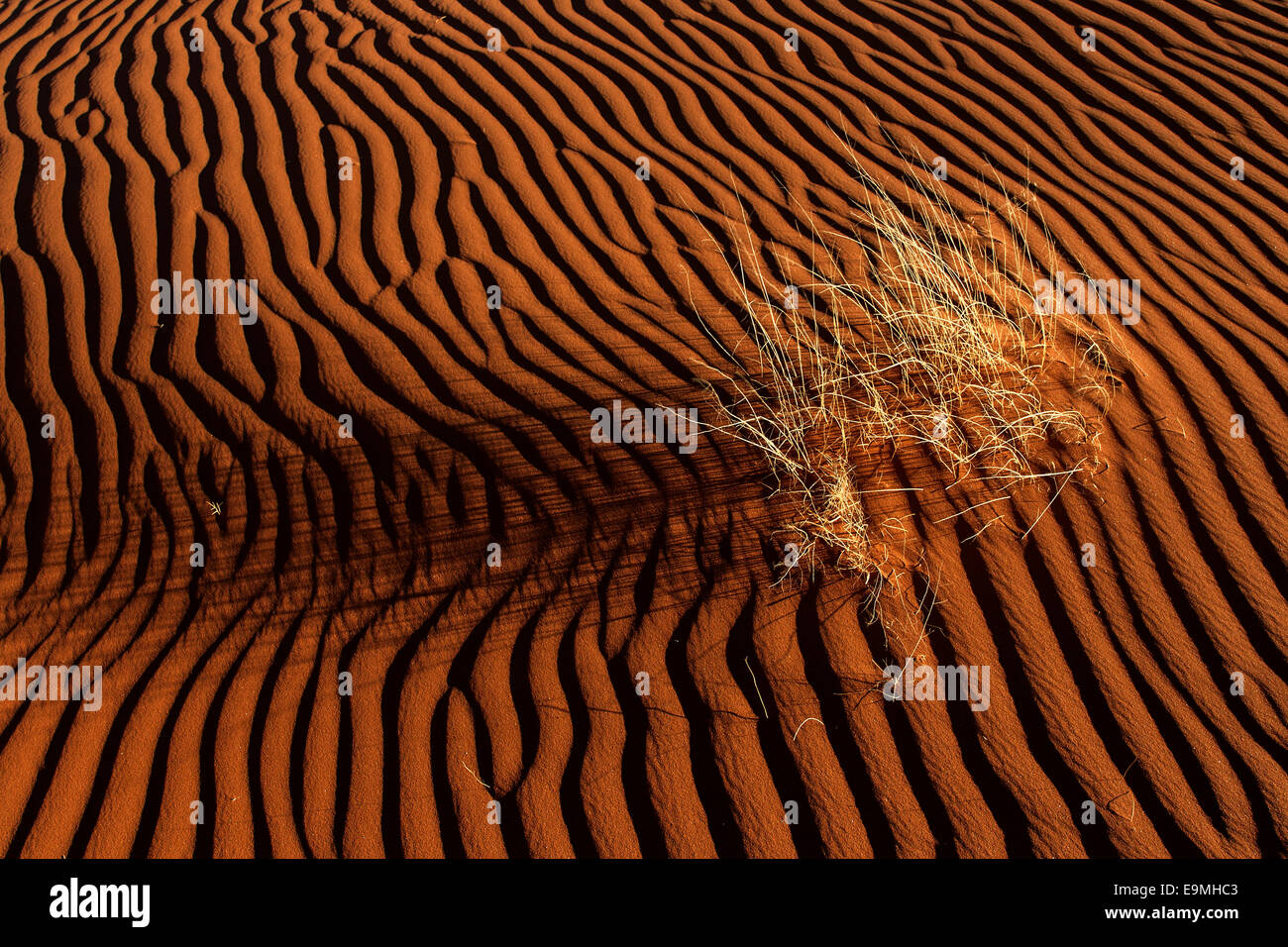 Grass graphic hi-res stock photography and images - Alamy