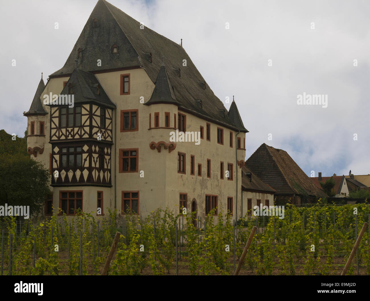 Vineyard in front of Schloss Schönborn in Geisenheim Germany EU Stock ...