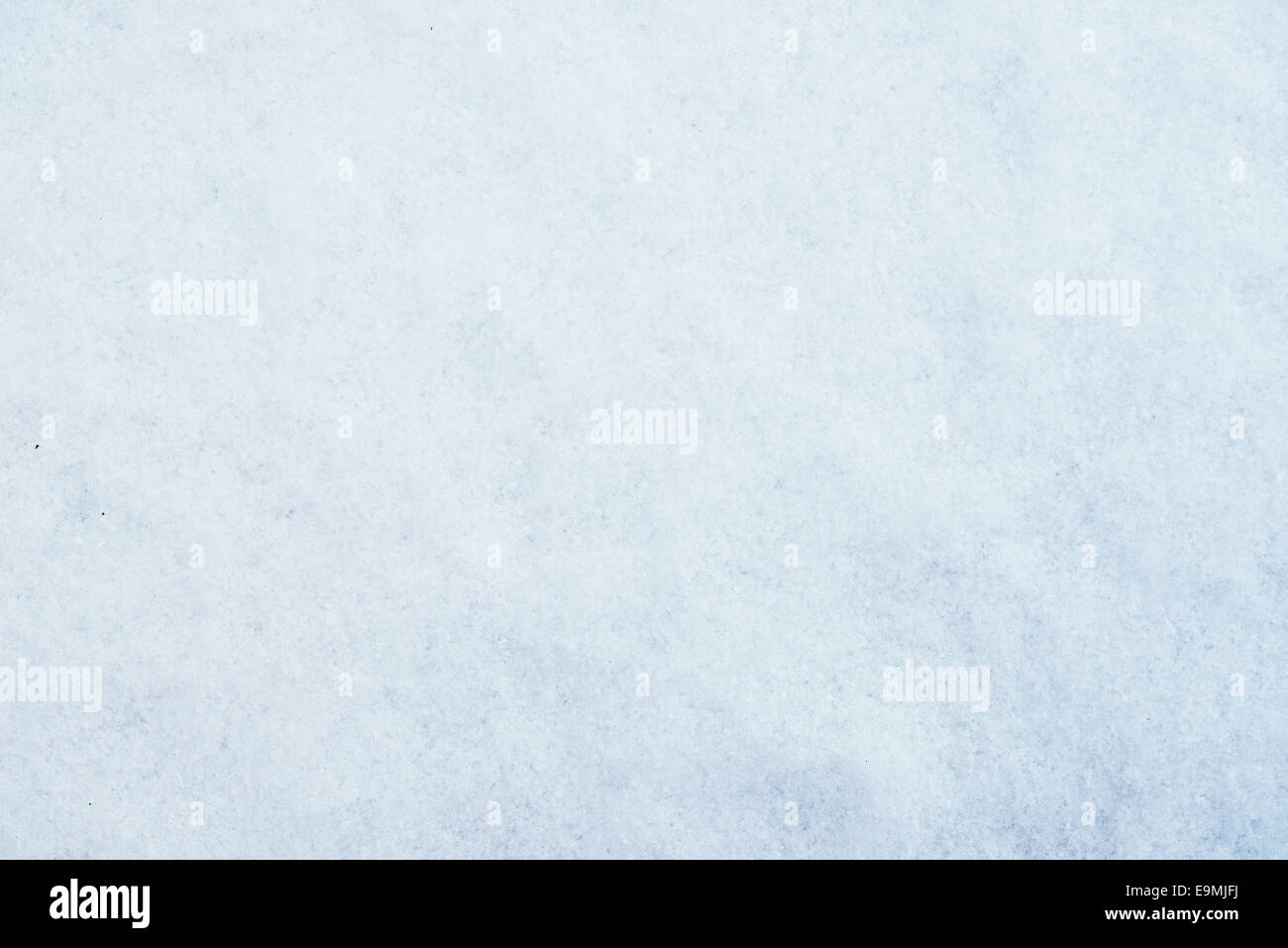 Great texture and detail hi-res stock photography and images - Alamy