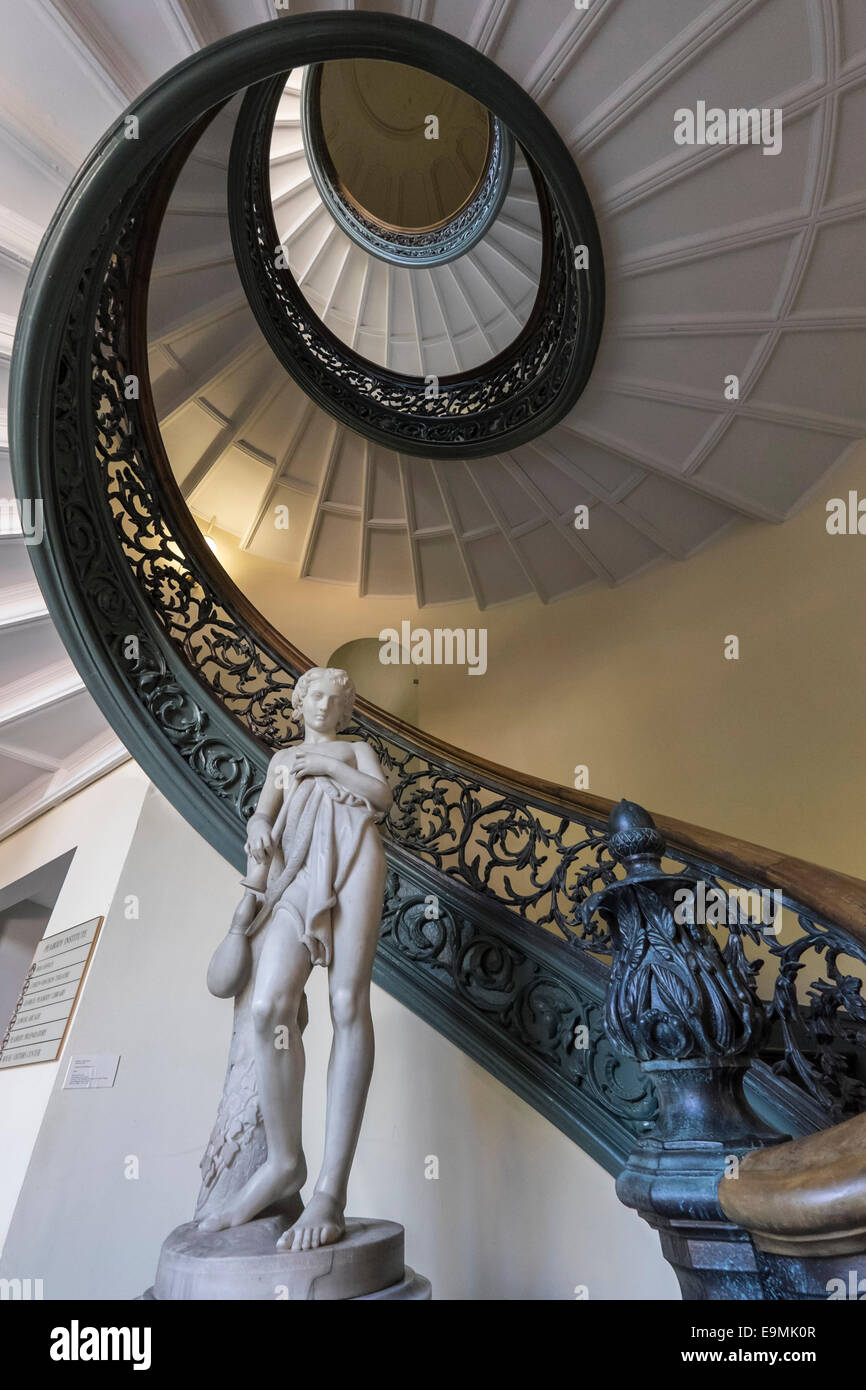 Baltimore conservatory hi-res stock photography and images - Alamy