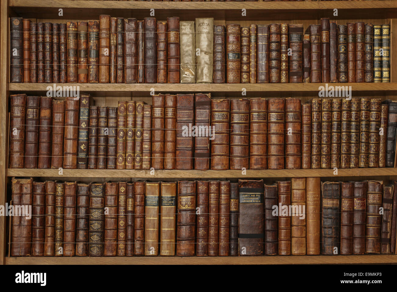 Rows of antique leather books Stock Photo - Alamy