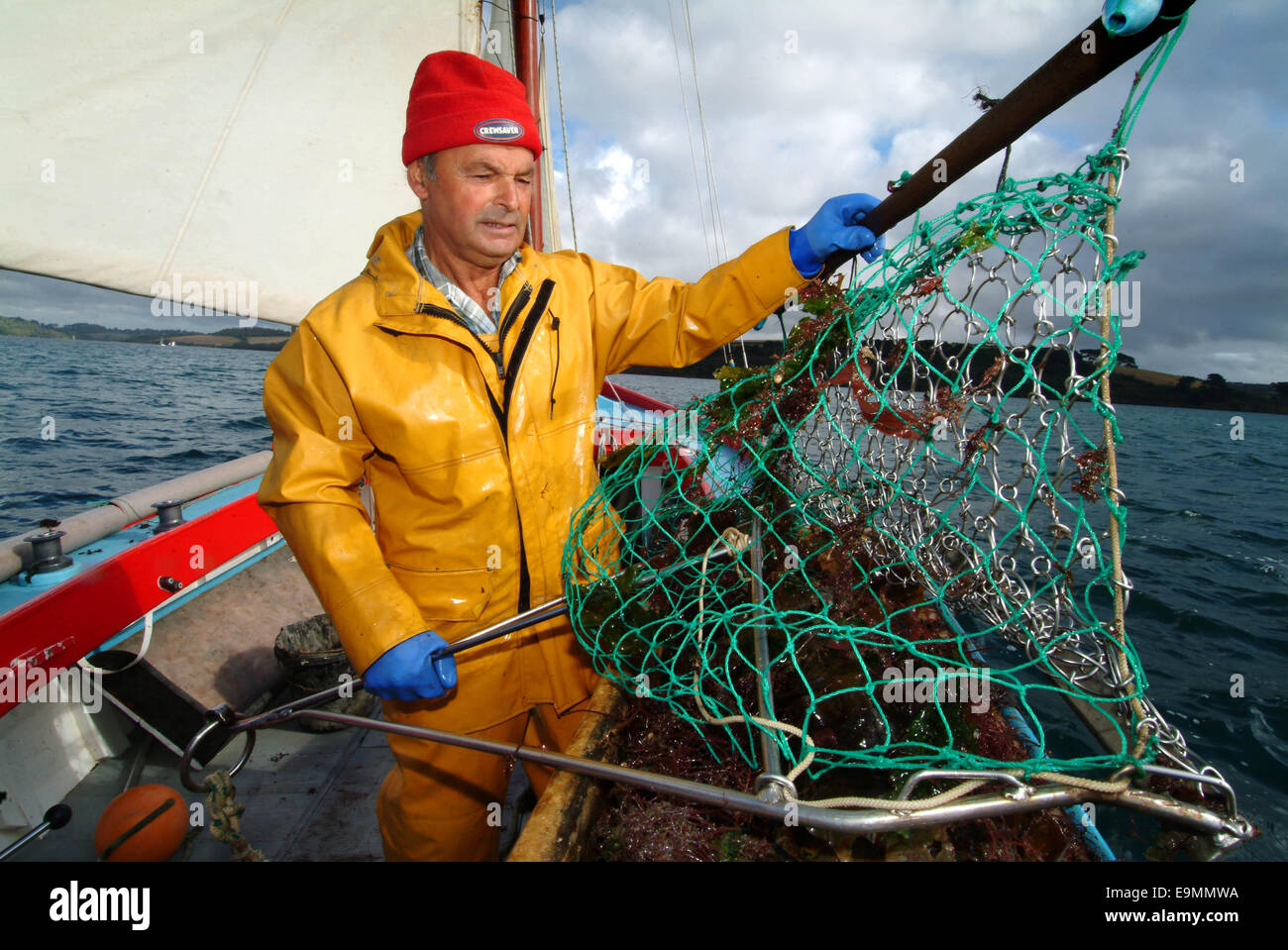 Falmouth Oyster Festival Working Boat High Resolution Stock Photography ...