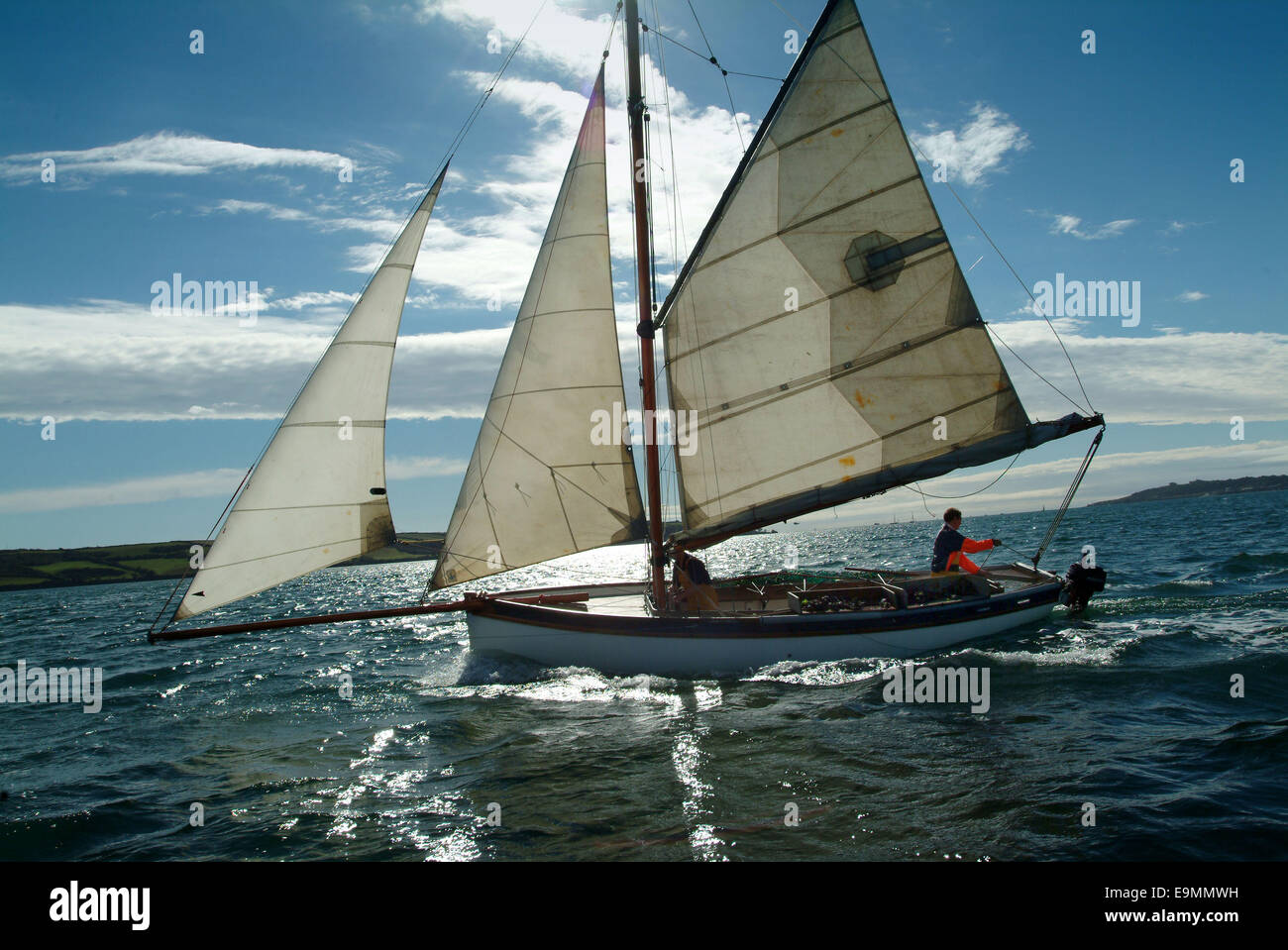 River fal oysters hi-res stock photography and images - Alamy
