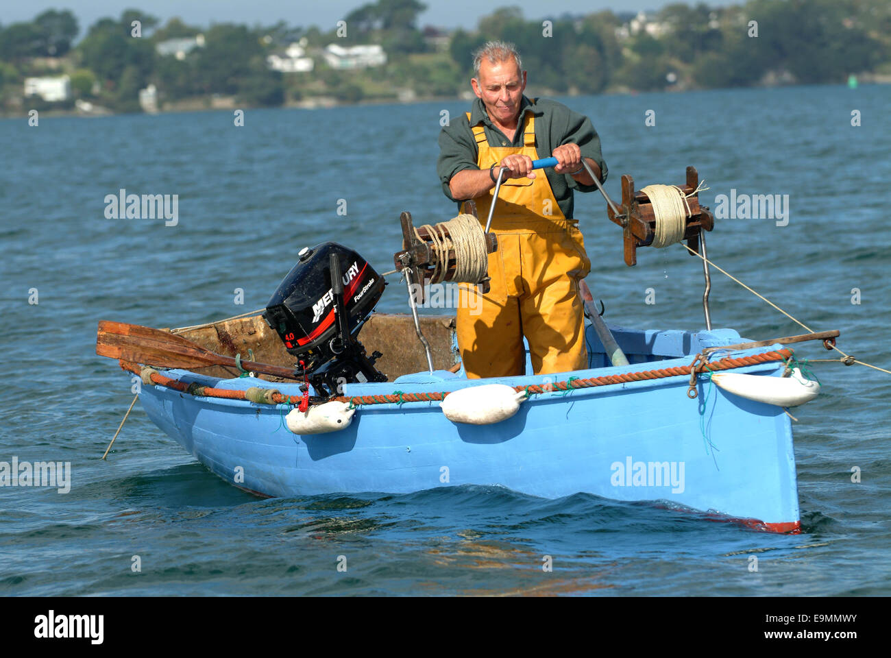 Oyster fishing on the Fal Estuary in Cornwall Stock Photo - Alamy