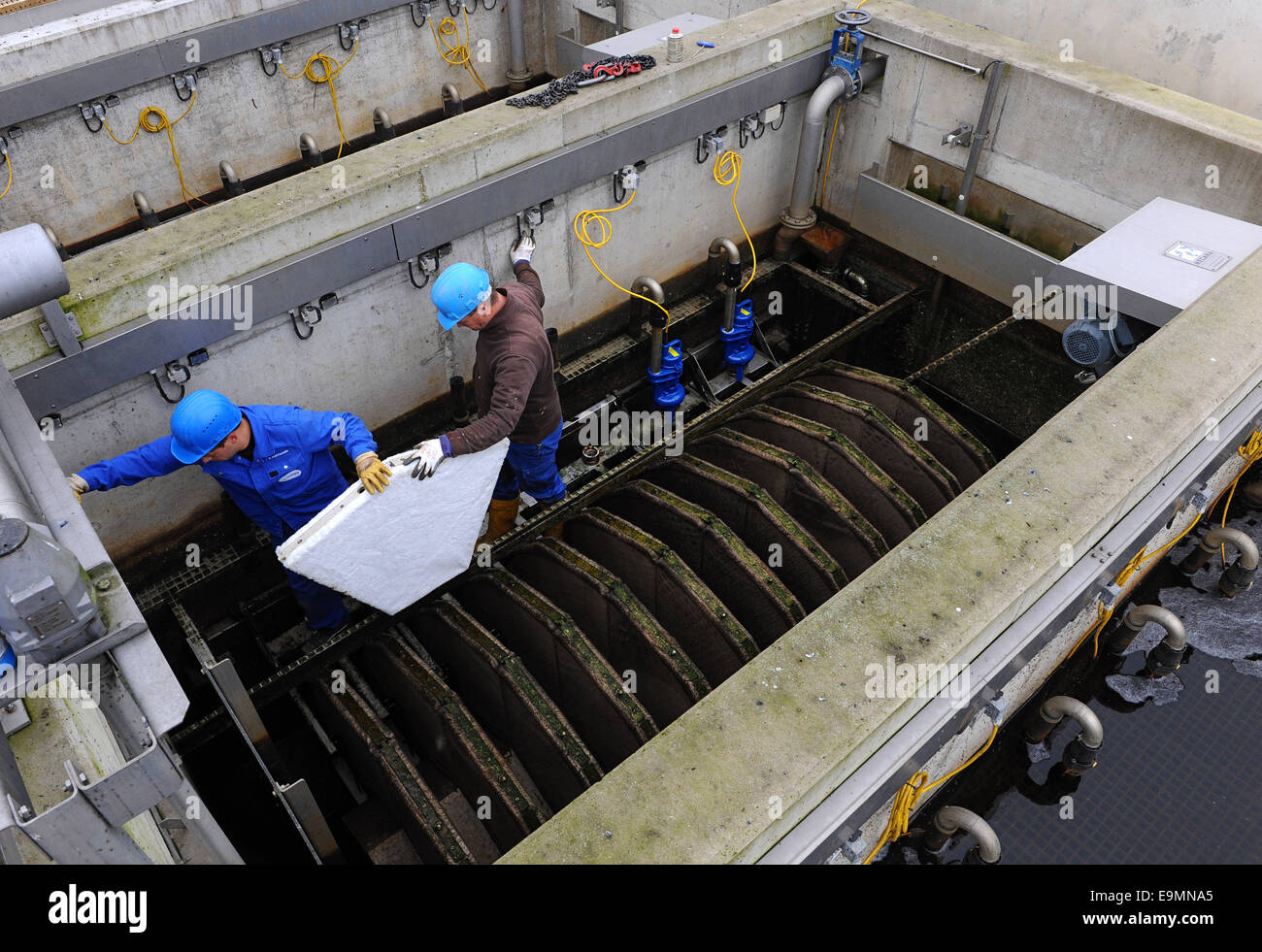 Absorption of water in plants hi-res stock photography and images - Alamy