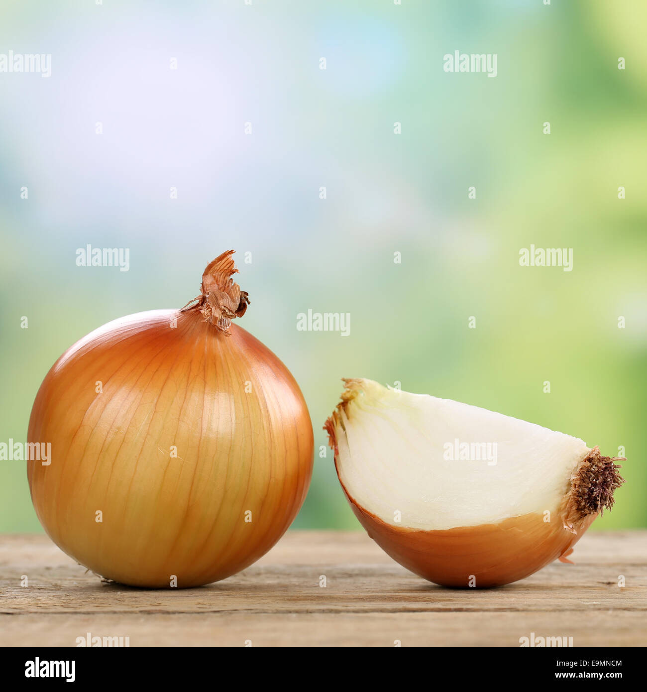 Onion and vegetables hi-res stock photography and images - Alamy