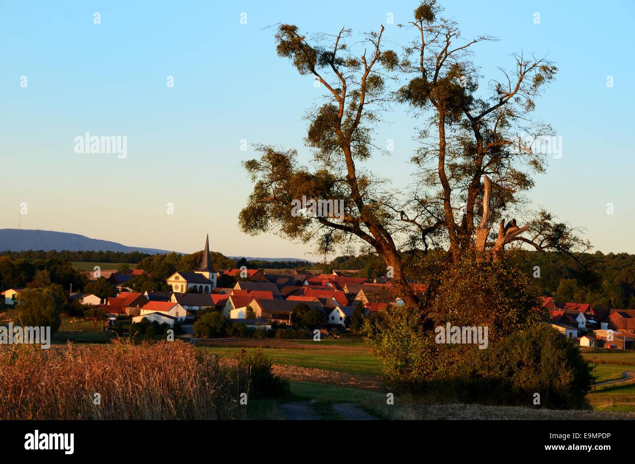 Summer holida hi-res stock photography and images - Alamy