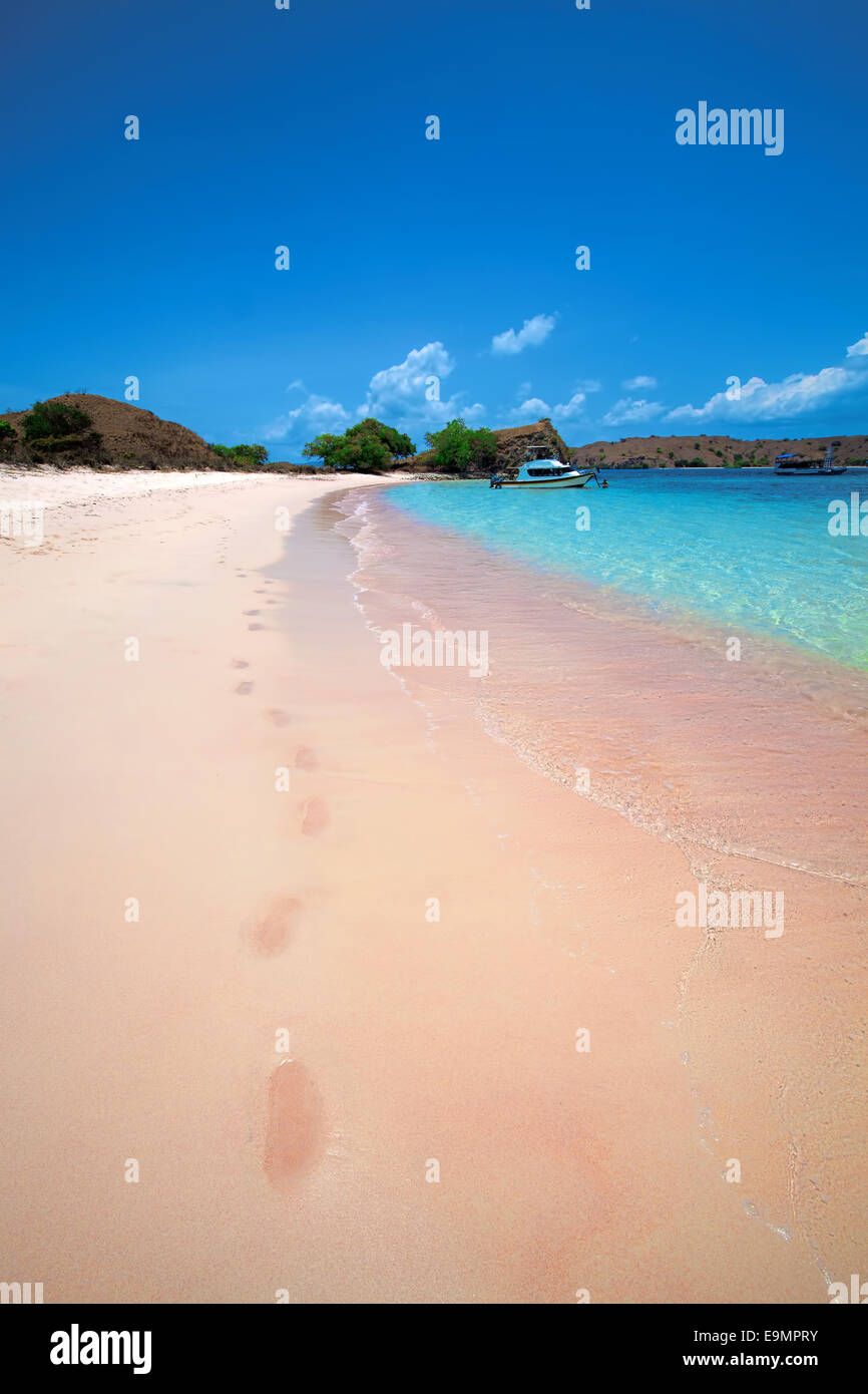 Pink beach komodo hi-res stock photography and images - Alamy